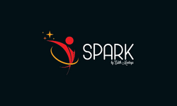 Spark Studio Reset - Spark